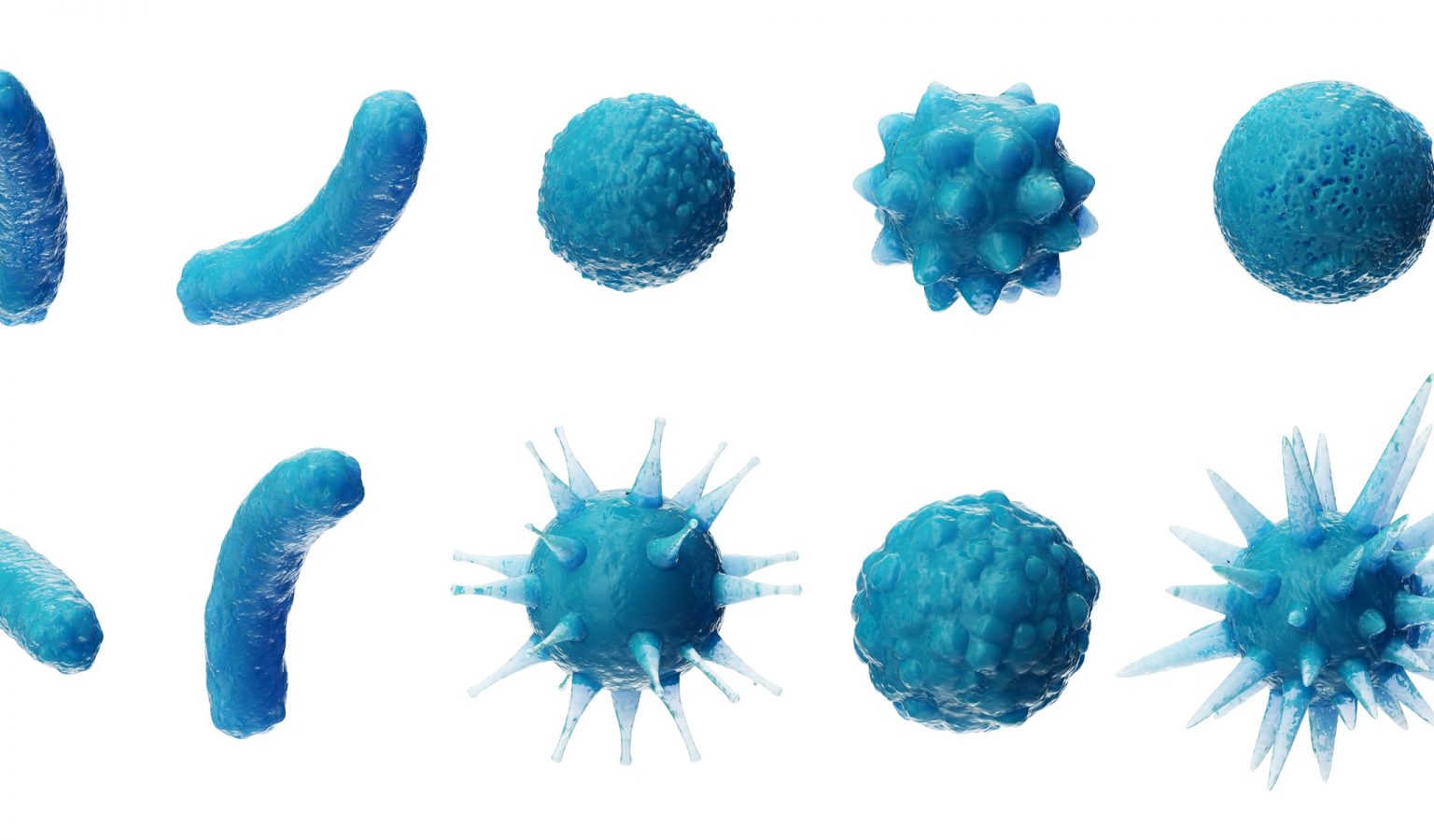 A Framework for Understanding Pathogens, Explained by Sunetra Gupta ⋆ ...