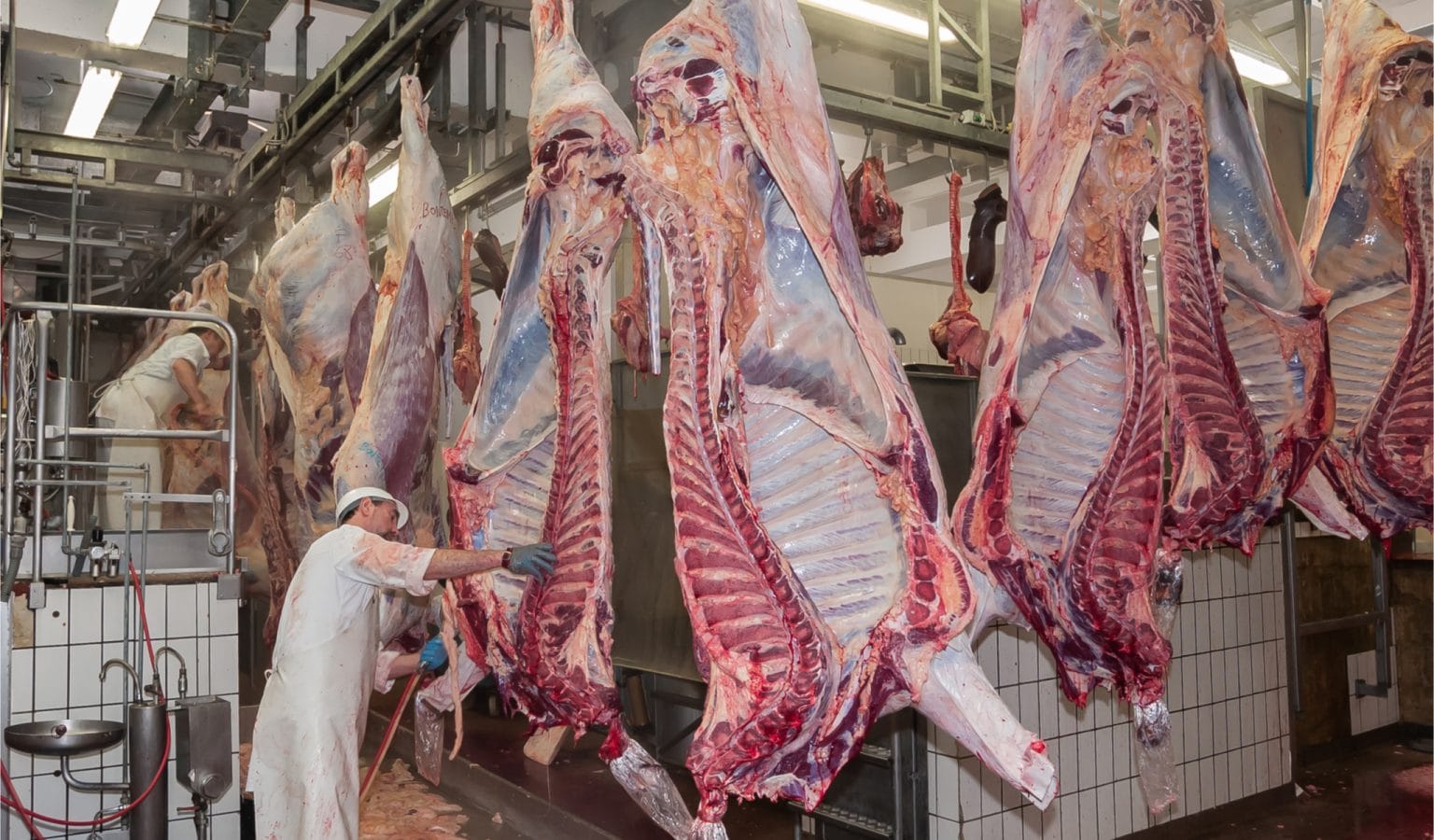 Jeffrey A. Tucker, Author at Brownstone Institute