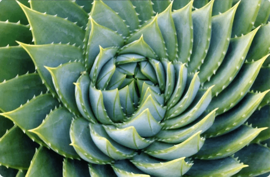 Humanity Is Complex, Not Complicated ⋆ Brownstone Institute Robert Malone